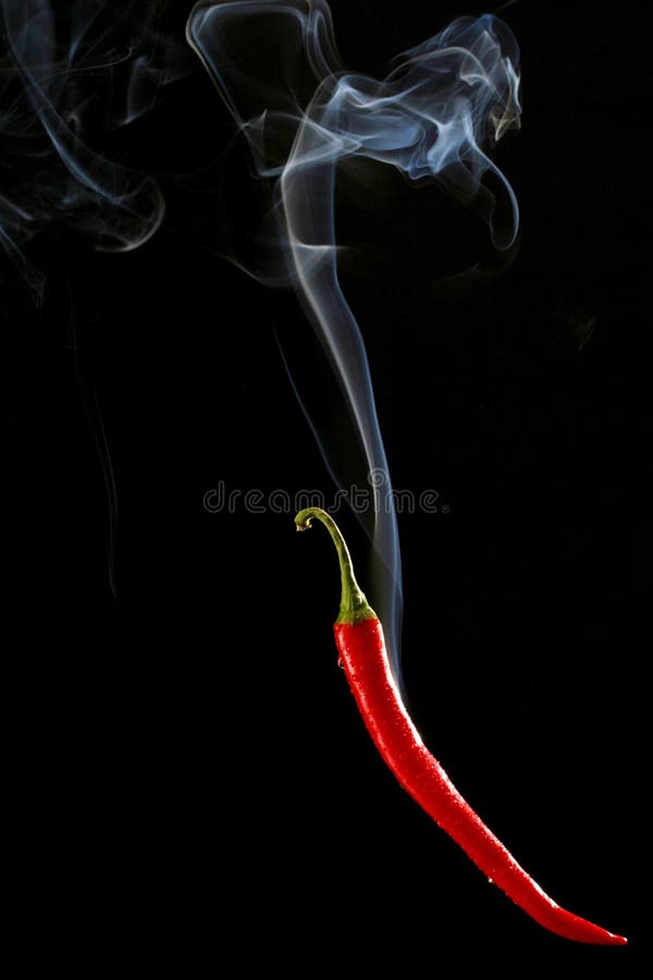 Smoking hot chilli stock photo. Image of pepper, isolated - 2020516