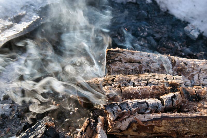Smoking Logs in a Camping Site Campfire Stock Photo - Image of steam ...