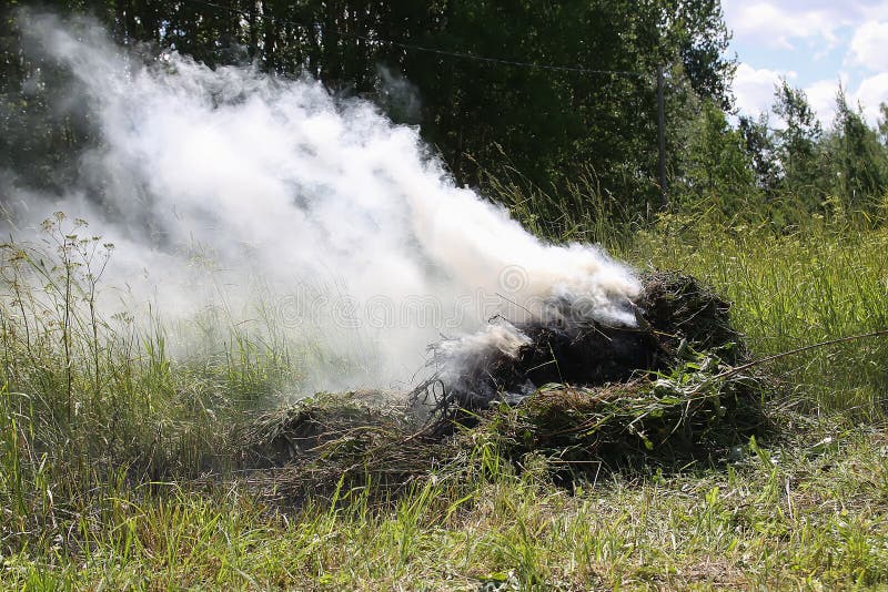 Smoke in the Field from the Burning Grass in Summer Field Stock Image ...