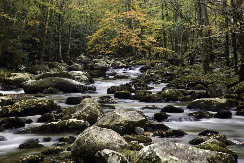 Smoky Mountain Fall Stream stock photo. Image of lush - 48470514