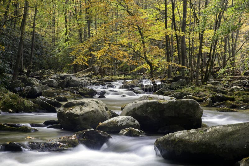 Smoky Mountain Fall Stream stock photo. Image of peaceful - 48470548