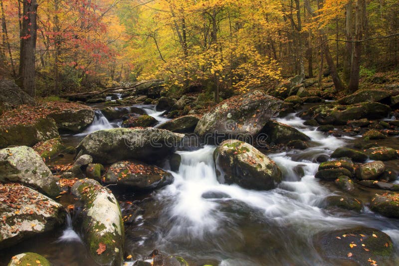 Smoky Mountain Fall Stream stock image. Image of outdoor - 61963031