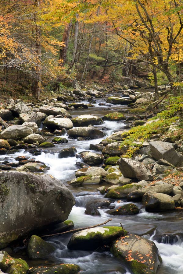 Smoky Mountain Fall Stream stock image. Image of ecology - 61963117