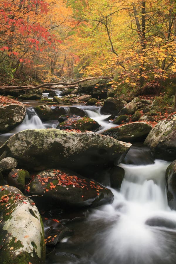 Smoky Mountain Fall Stream stock photo. Image of beauty - 61963218