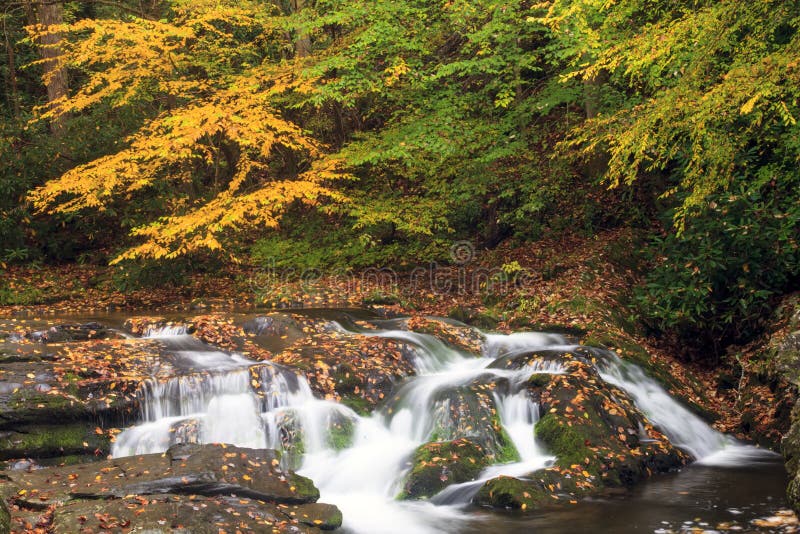 Smoky Mountain Fall Stream stock image. Image of cascade - 61963321