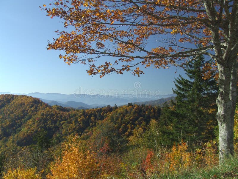Smoky Mountain, Newfound Gap Picture. Image: 9770166