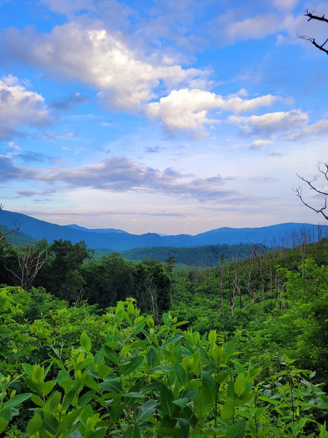 Smoky mountain range stock image. Image of plateau, wilderness - 262057239