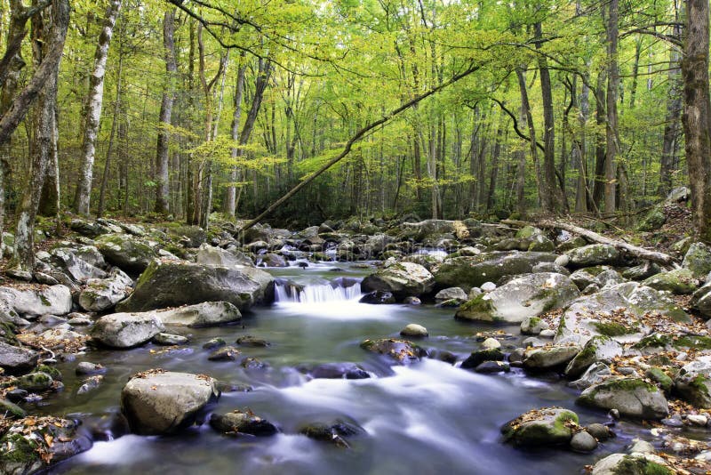 Smoky Mountain Stream stock image. Image of creek, national - 40996289