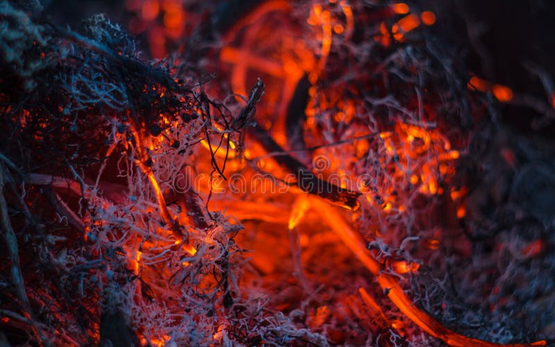 Fire and ashes stock photo. Image of flaming, cinder - 10757718