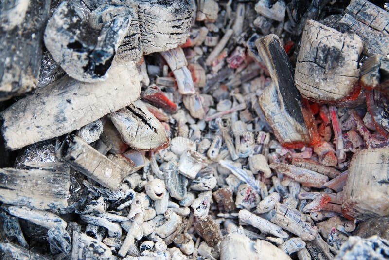 Smoldering Ashes from a Fire in the Forest Stock Image - Image of gray ...