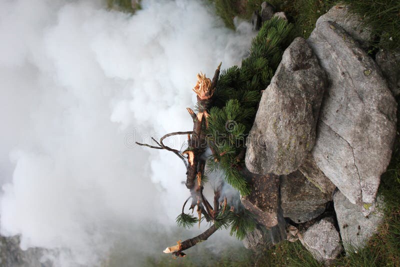Smoldering campfire stock photo. Image of warm, stones - 26208968