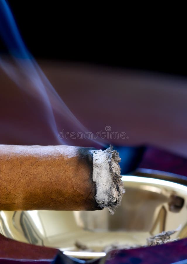 Smoldering Cigar stock image. Image of wisp, stogie, smokey - 19422993