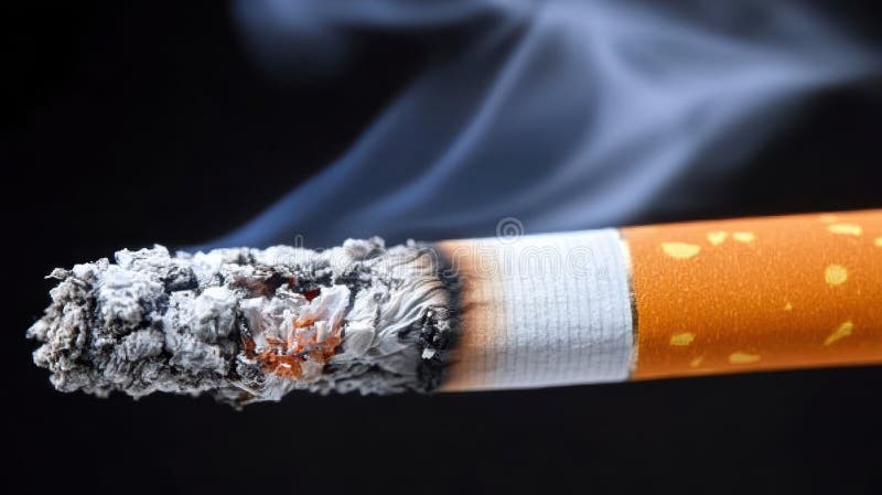 Smoldering Cigarette Close-Up the End of the Line and Its Unseen Risks ...
