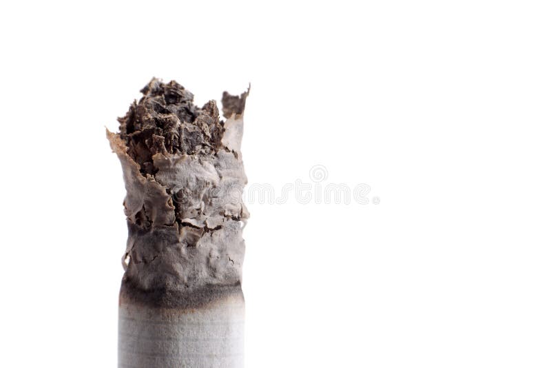 Smoldering Cigarette with Smoke Macro Closeup Isolated on White Stock ...