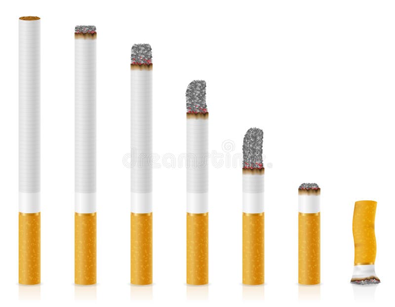 Smoldering Cigarettes of Different Lengths Stock Vector Illustra Stock ...