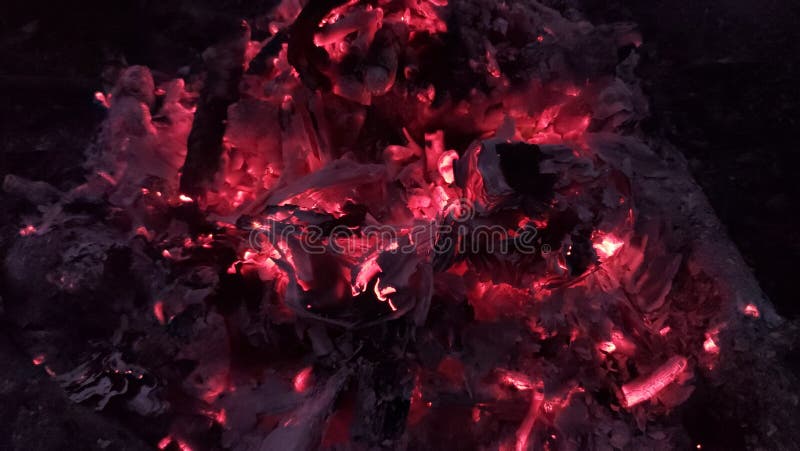 Smoldering Coal, Ash of a Campfire in Nature Stock Photo - Image of ...