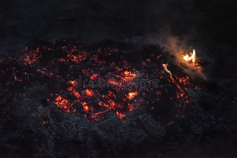 Smoldering Coals and Fire. Fire. Bonfire Stock Photo - Image of night ...