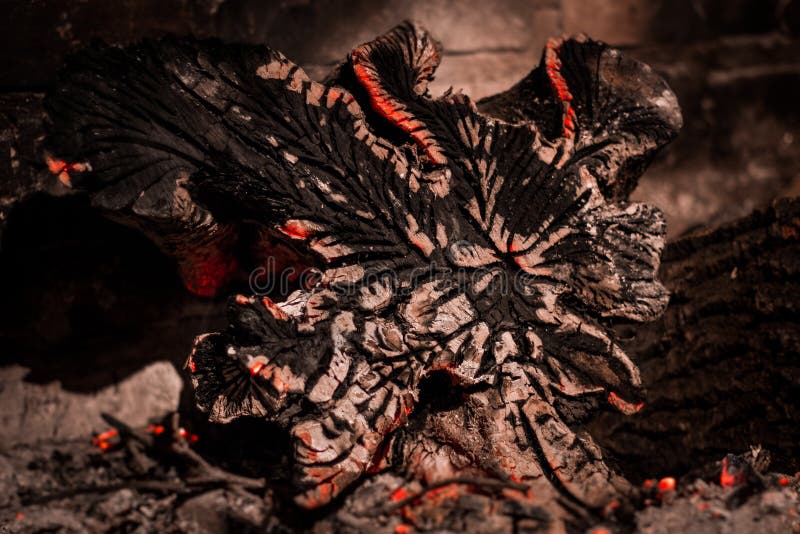 Smoldering Tree Stump stock photo. Image of heat, wildfire - 7280558