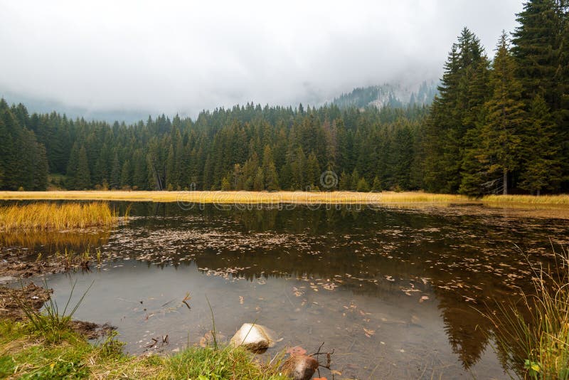 Smolyan lakes in Bulgaria stock image. Image of grass - 161785549