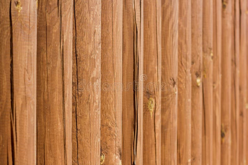 Smooth Background Light Brown Round Wooden Boards Wood Texture Stock ...