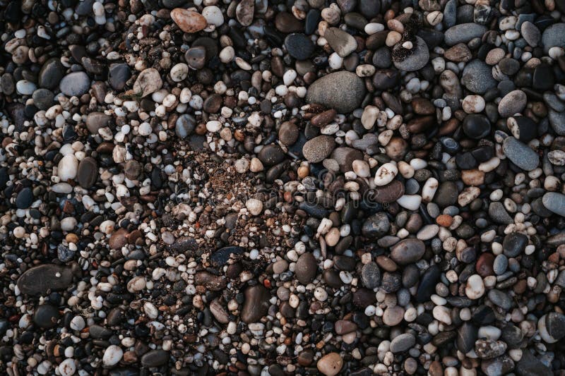Smooth Background with a Texture of Different Sizes of Pebbles. Pebble ...