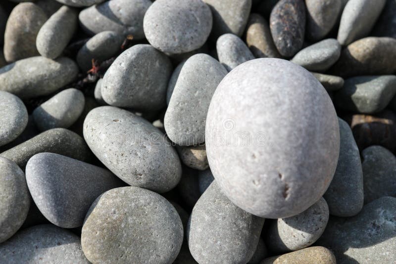 Smooth and Beautiful Pebbles on the Beach in the Sunlight Close Up ...