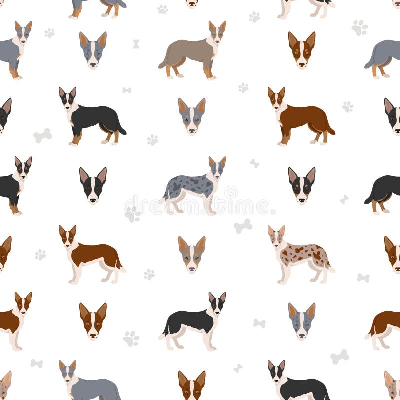 Smooth Border Collie Seamless Pattern. Different Poses, Coat Colors Set ...