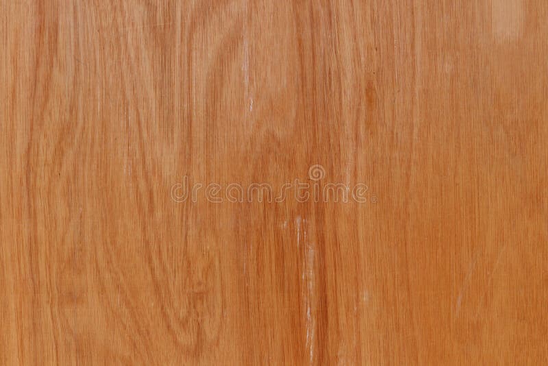 Smooth brown broad. stock photo. Image of natural, perennial - 261859788