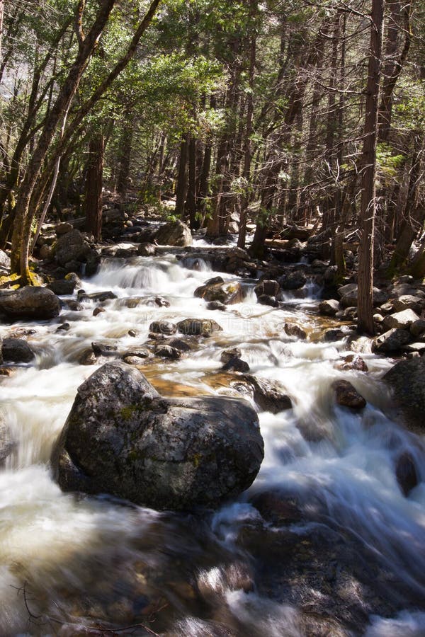 Smooth Creek Water Over Rocks in a Forest Stock Image - Image of nature ...