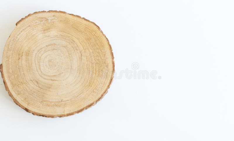 Smooth Cross Section Brown Tree Stump Slice with Age Rings Cut Fresh ...