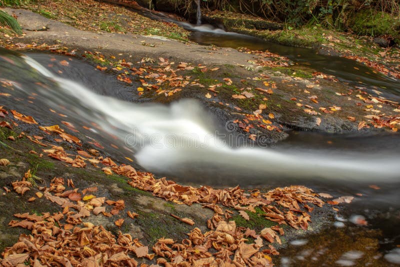 Smooth, Cross Shaped Water in a Stream Stock Image - Image of creek ...