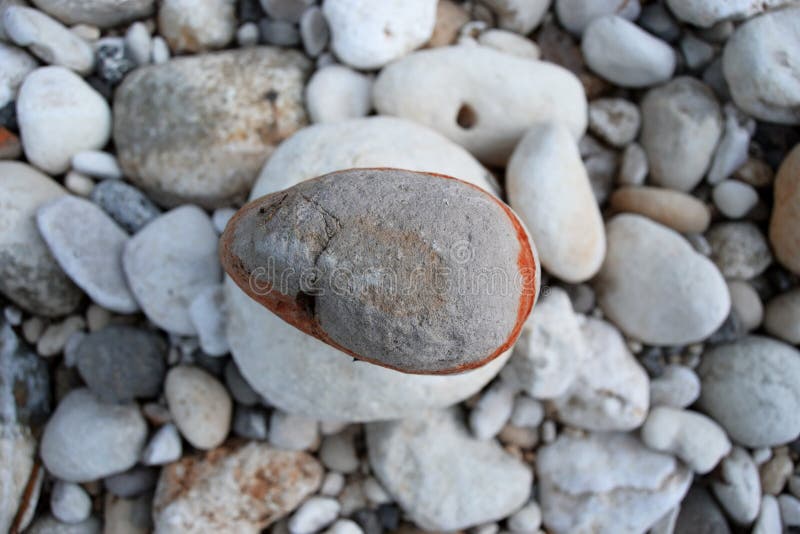 Smooth, Dry River Pebbles in the Stream Bed Stock Photo - Image of ...