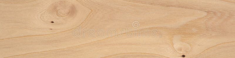 Smooth Elm Veneer with Soft Curves and Natural Wood Knots Stock Photo ...