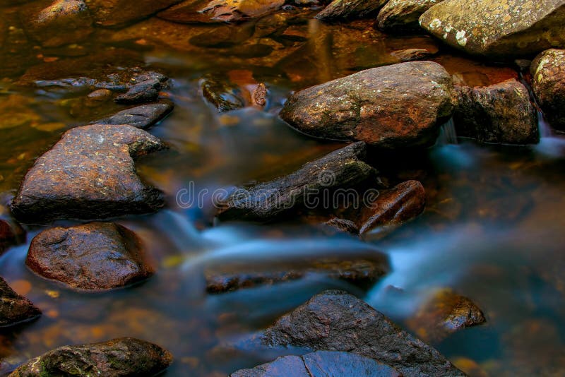 Smooth Flowing of a Stream in a Tropical Forest Stock Image - Image of ...