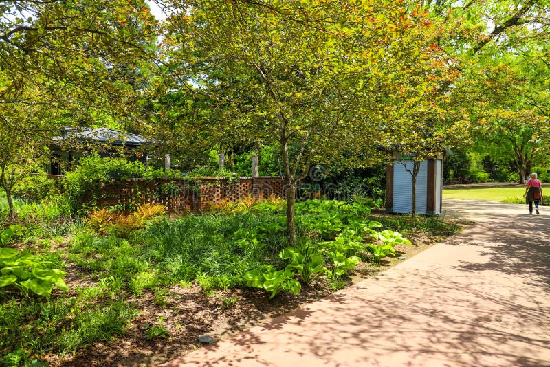 A Smooth Footpath in the Garden Surrounded by Lush Green Trees and ...