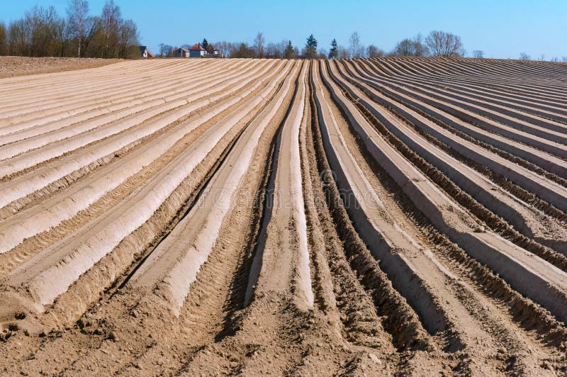 Smooth Furrows of Agricultural Land, Plowed Field in Spring Stock Image ...