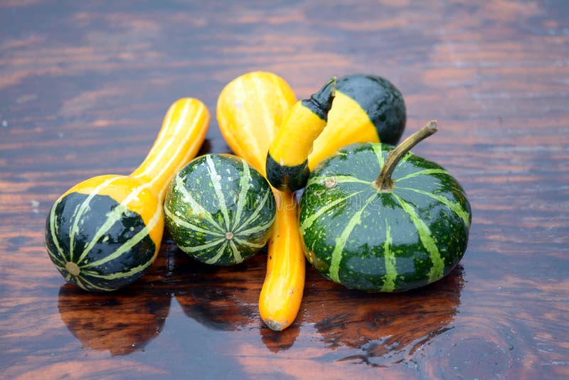 Smooth Gourds 838662 stock photo. Image of decorative - 206970290