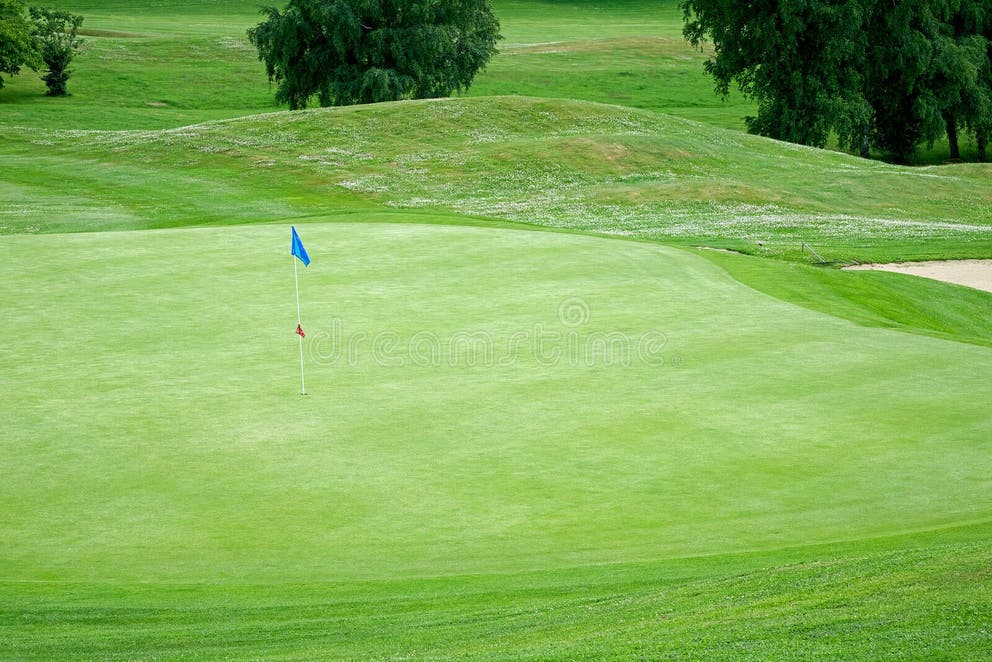 Smooth Grassy Area of a Golf Course, Trees in the Background Stock ...