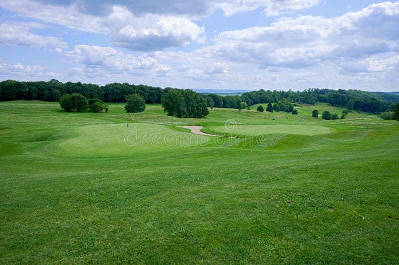 Smooth Grassy Area of a Golf Course, Trees in the Background Stock ...