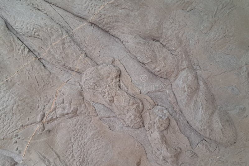 Smooth, Grayish Rock Surface with Subtle Ridges and a Few Visible ...