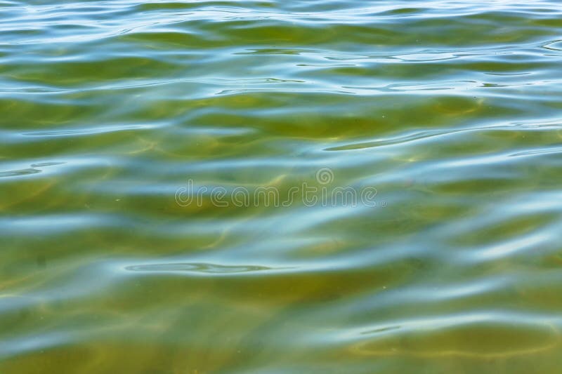 Smooth Green Water, Clear Water Surface Stock Photo - Image of deep ...