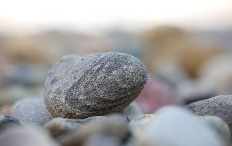 Smooth Grey Pebble with Pattern among Other Colorful Rocks ,shallow ...