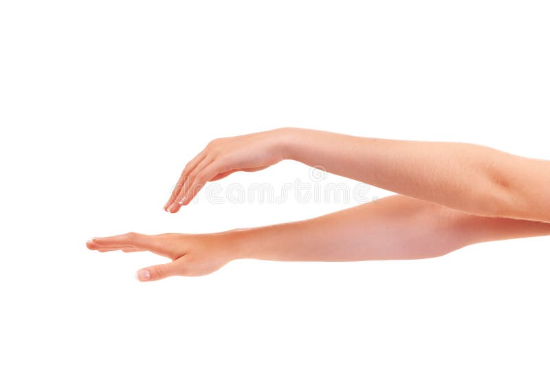 Smooth Hands and Soft Skin. a Womans Hands. Stock Image - Image of ...