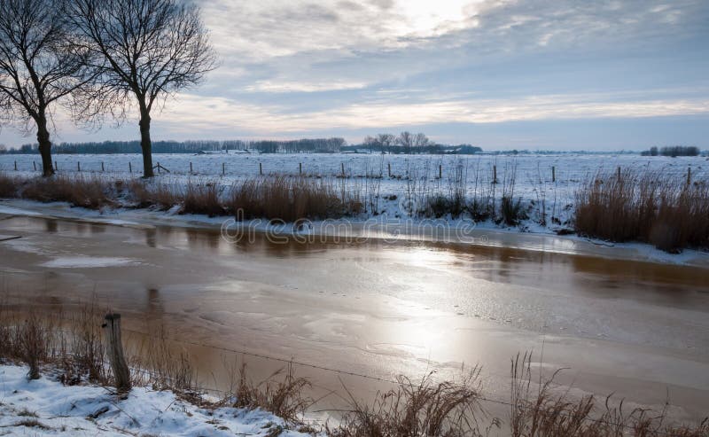 Smooth Ice in a Dutch Country Polder Area Stock Photo - Image of ...