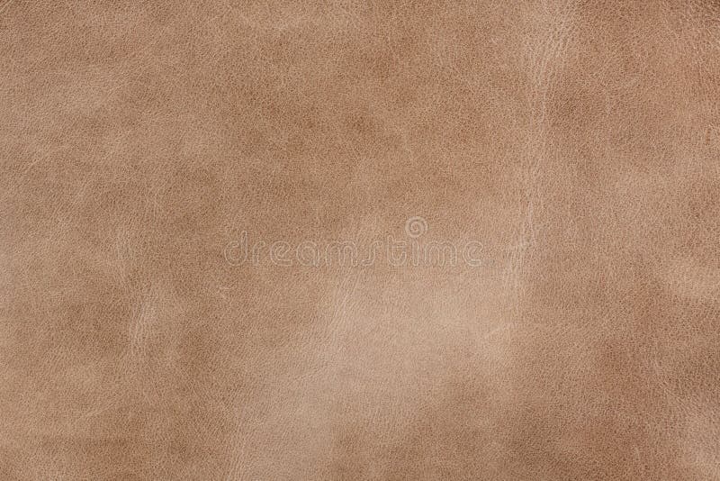 8,340 Leather Smooth Photos - Free & Royalty-Free Stock Photos from Dreamstime