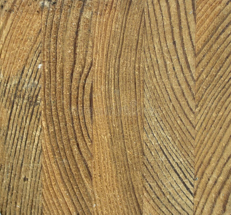 Smooth light wood surface stock image. Image of light - 221105093
