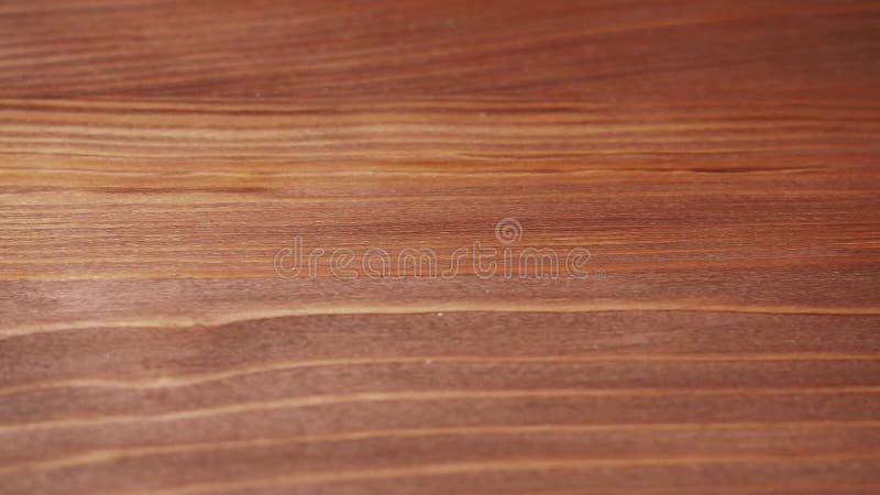 Smooth Movement of the Frame, from Right To Left, Close-up, Along the ...