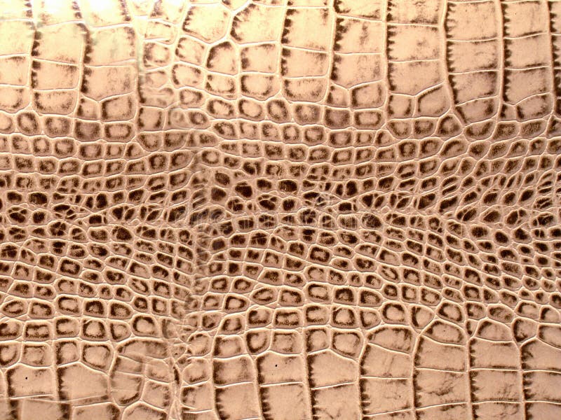 Smooth Orange Snake Skin with a Distinctive Natural Pattern Stock Photo ...