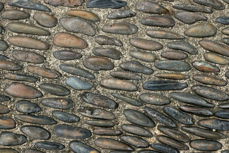 Smooth pebble stock photo. Image of pattern, beach, small - 56857666
