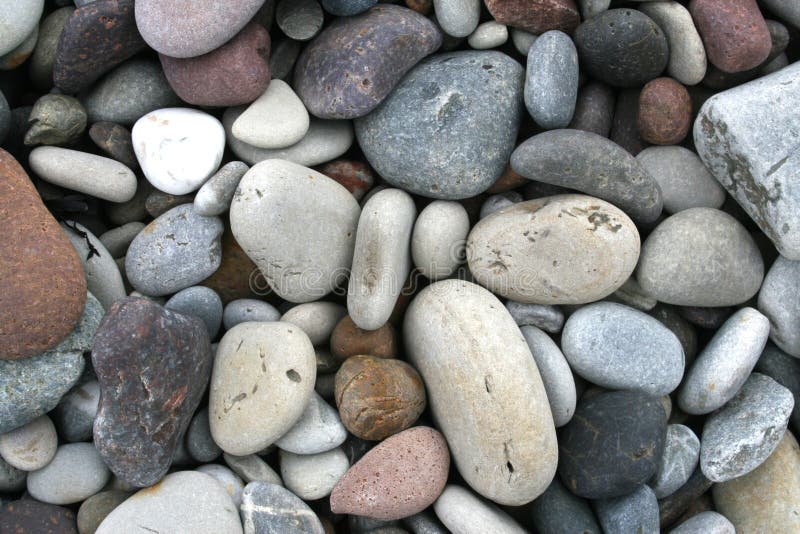 Smooth pebbles on seashore stock image. Image of grey - 4460009